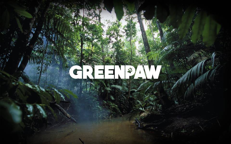 NCN & Greenpaw: The first step towards a greener and more biodiverse ...